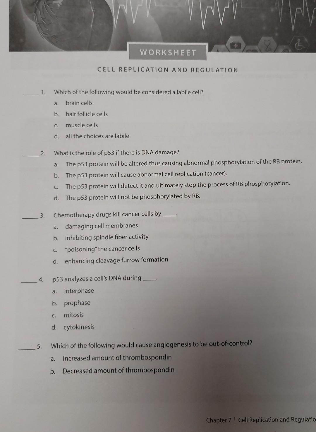 Solved WORKSHEET CELL REPLICATION AND REGULATION 1. Which of | Chegg.com