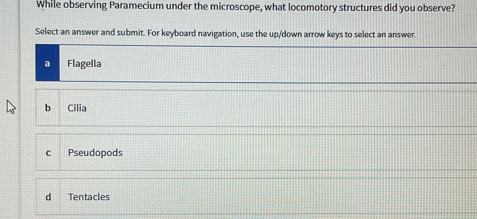 Solved While observing Paramecium under the microscope, what | Chegg.com
