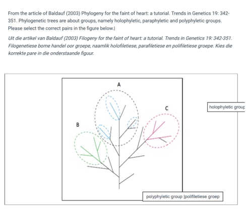Solved From the article of Baldauf (2003) ﻿Phylogeny for the | Chegg.com