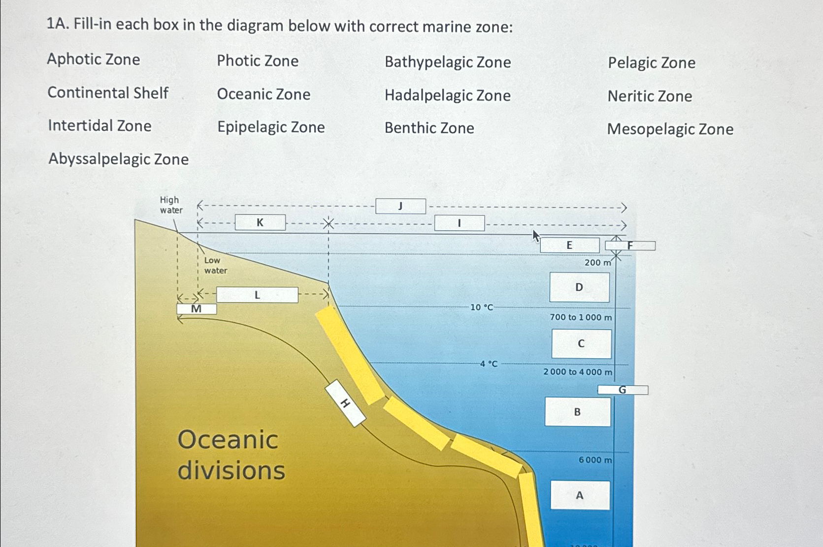 Solved 1A. ﻿Fill-in each box in the diagram below with | Chegg.com