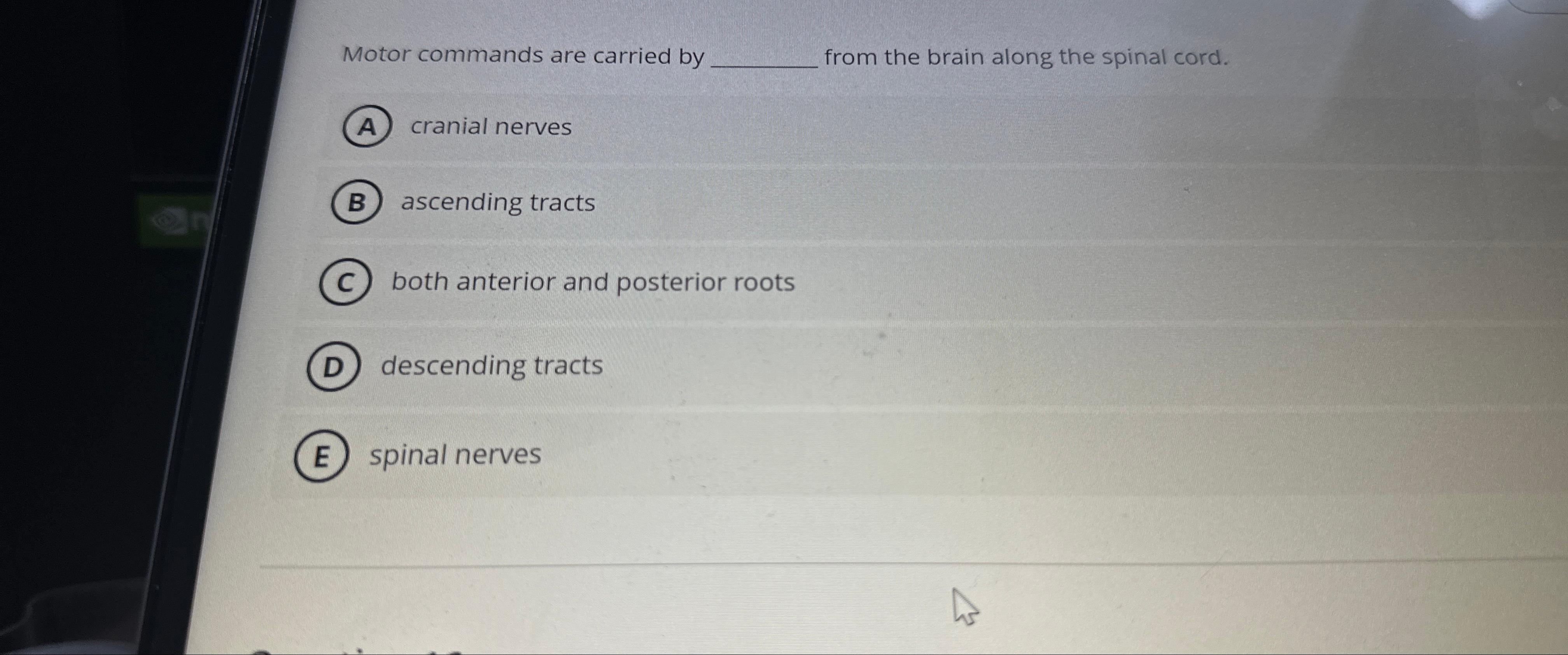 Solved Motor Commands Are Carried Byfrom The Brain Along The