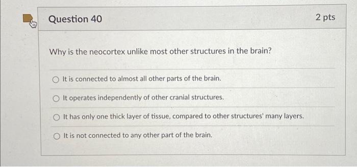 Solved Why is the neocortex unlike most other structures in | Chegg.com