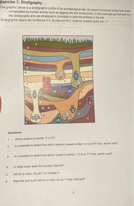 Solved Exercise 3: Stratigraphy The graphic below is a | Chegg.com