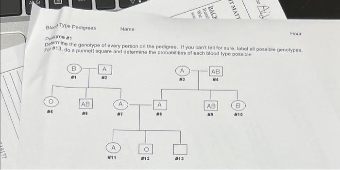 Solved AGE IT MATT se Aid Blood Type Pedigrees Name Hour | Chegg.com