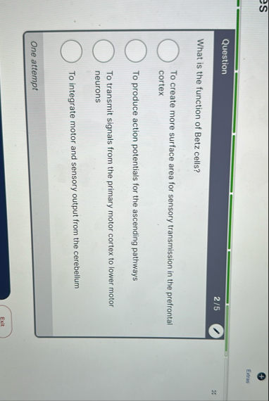 Solved ExtrasQuestion25What is the function of Betz cells?To | Chegg.com