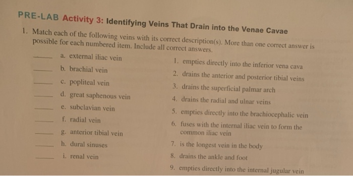 Solved Pro-lab quizzes are also ass Mastering Anatomy & | Chegg.com
