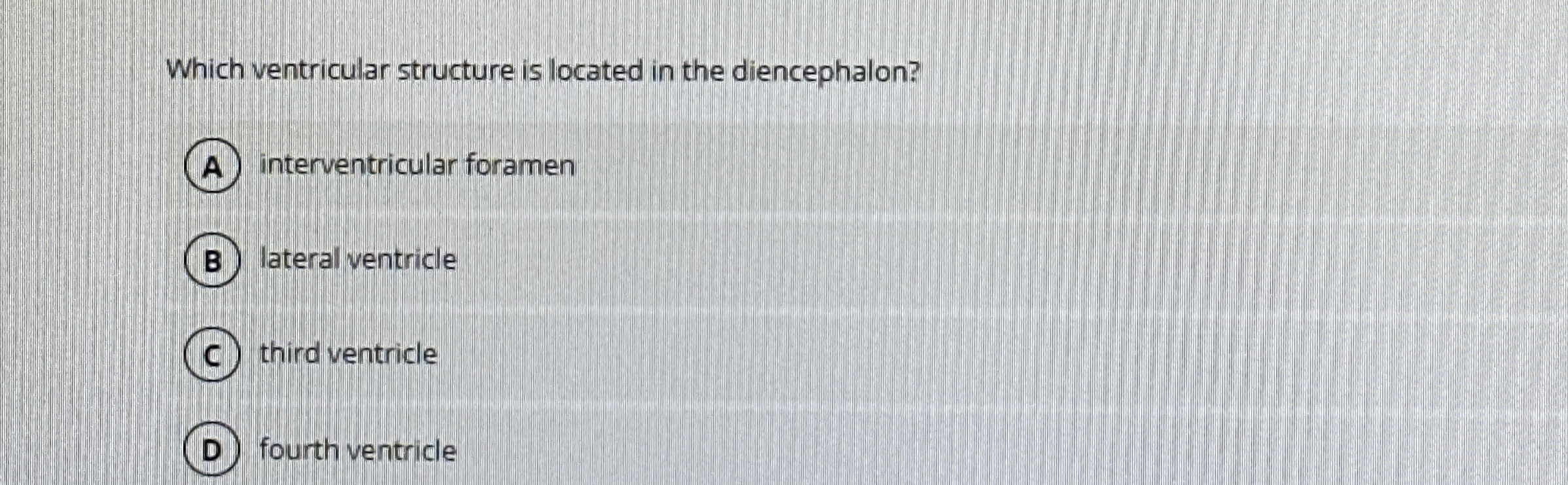 Solved Which ventricular structure is located in the | Chegg.com