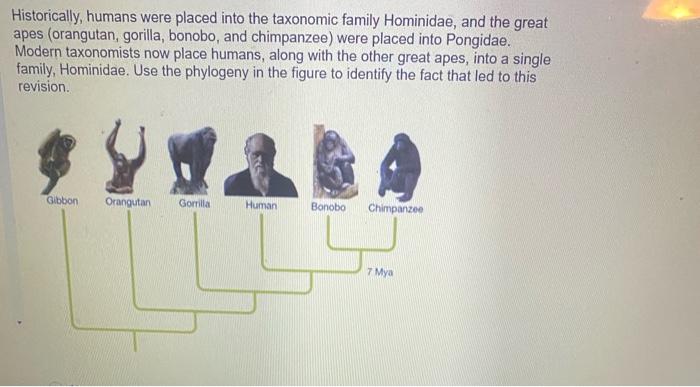 Solved Historically, humans were placed into the taxonomic | Chegg.com
