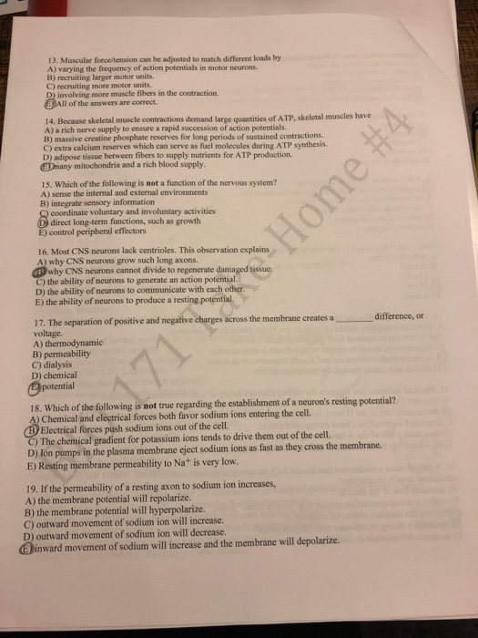 Solved 13. Muscular force/tension can be adjusted to match | Chegg.com