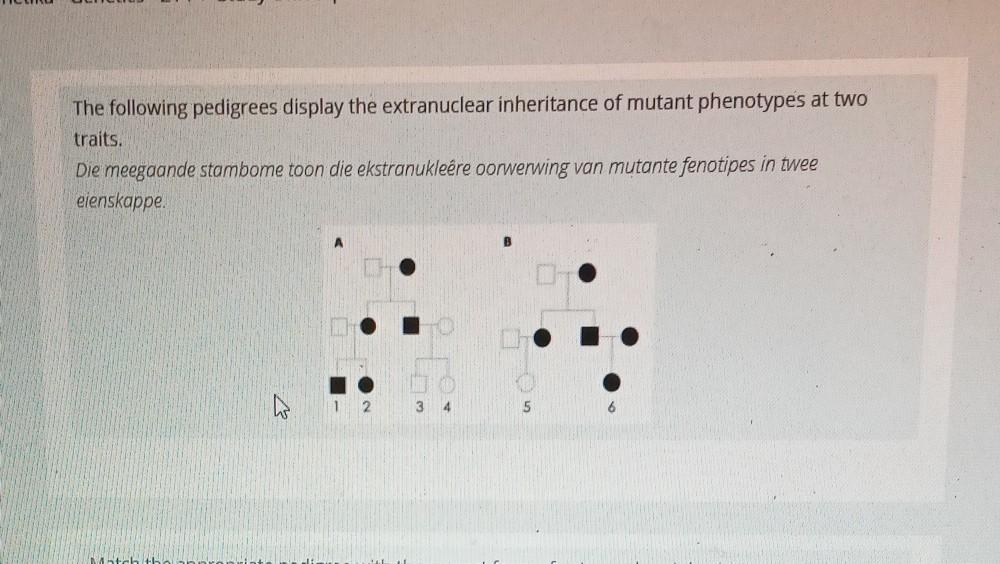 The following pedigrees display the extranuclear | Chegg.com