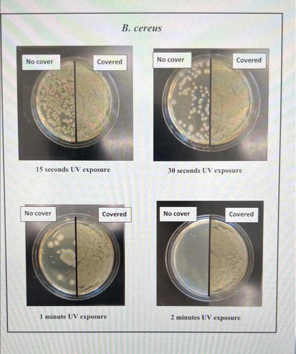 Solved Results - Use the images in the "Control of Microbial | Chegg.com