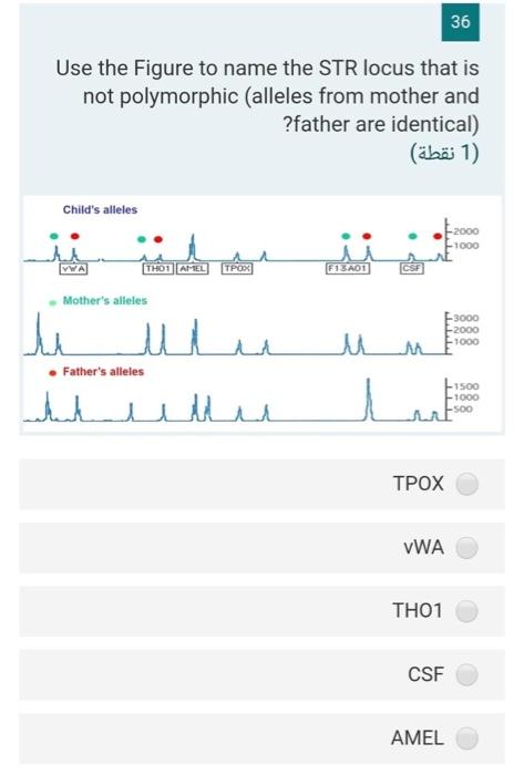 Solved 3 36 Use the Figure to name the STR locus that is not | Chegg.com