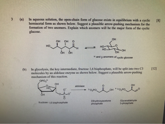 Solved 3 (a) [8] In aqueous solution, the open-chain form of | Chegg.com