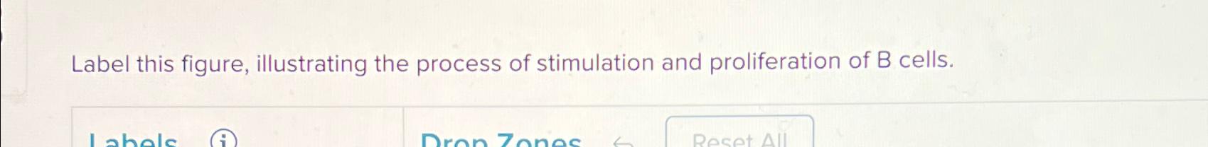 Solved Label this figure, illustrating the process of | Chegg.com
