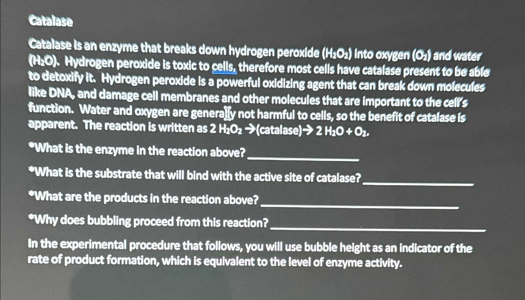 Solved CatalaseCatalase is an enzyme that breaks down | Chegg.com