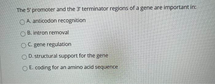 Solved The maturation promoting factors begin mitosis by | Chegg.com
