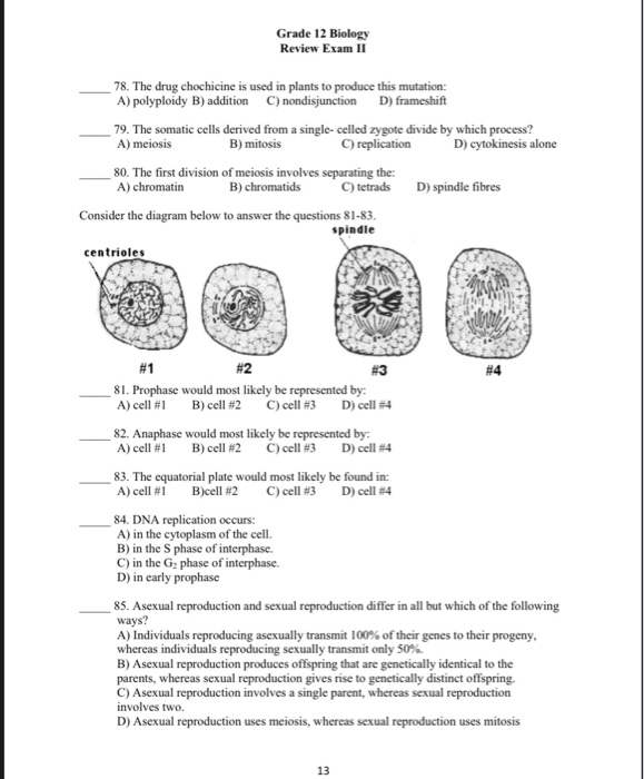 Solved Grade 12 Biology Review Exam II 47. Consider the | Chegg.com