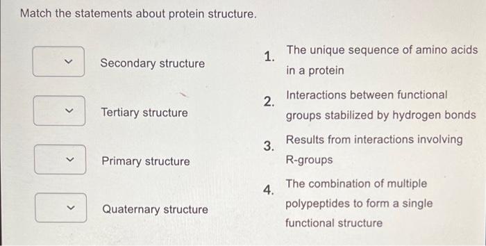 Solved Match the statements about protein structure. 1. | Chegg.com