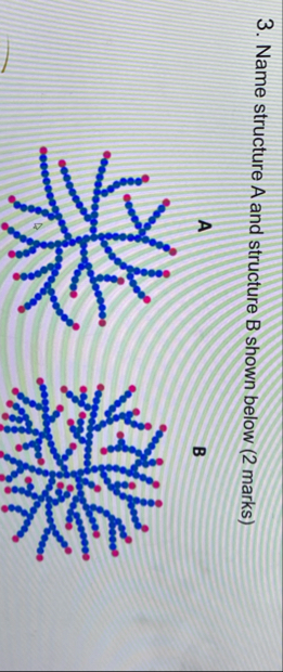 Solved Name structure A and structure B shown below (2 | Chegg.com