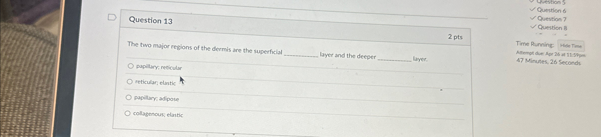 Solved Question 13The two major regions of the dermis are | Chegg.com