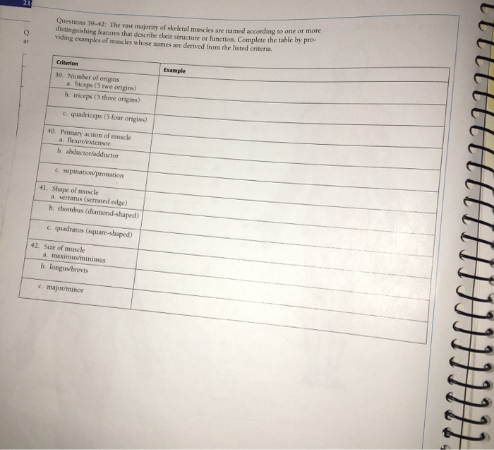 Solved Name Exercise 11 Review Sheet Gross Anatomy of the | Chegg.com