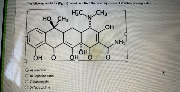 Solved The following antibiotic (Figure) based on a | Chegg.com
