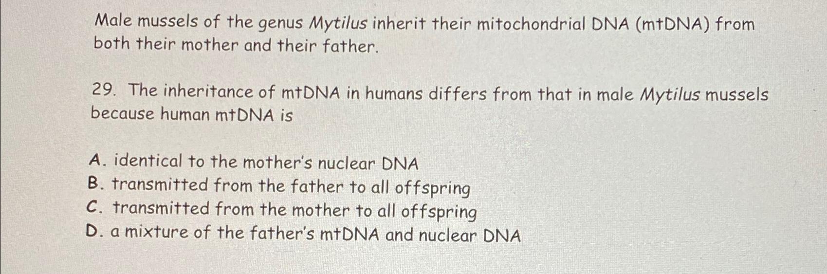 Solved Male mussels of the genus Mytilus inherit their | Chegg.com