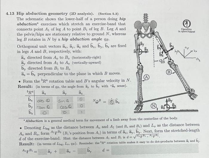 Solved 13 Hip abduction geometry ( 2D analysis). (Section | Chegg.com
