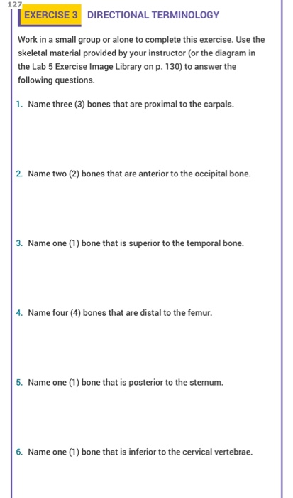 Solved 127 EXERCISE 3 DIRECTIONAL TERMINOLOGY Work in a | Chegg.com