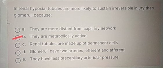 Solved In renal hypoxia, tubules are more likely to sustain | Chegg.com