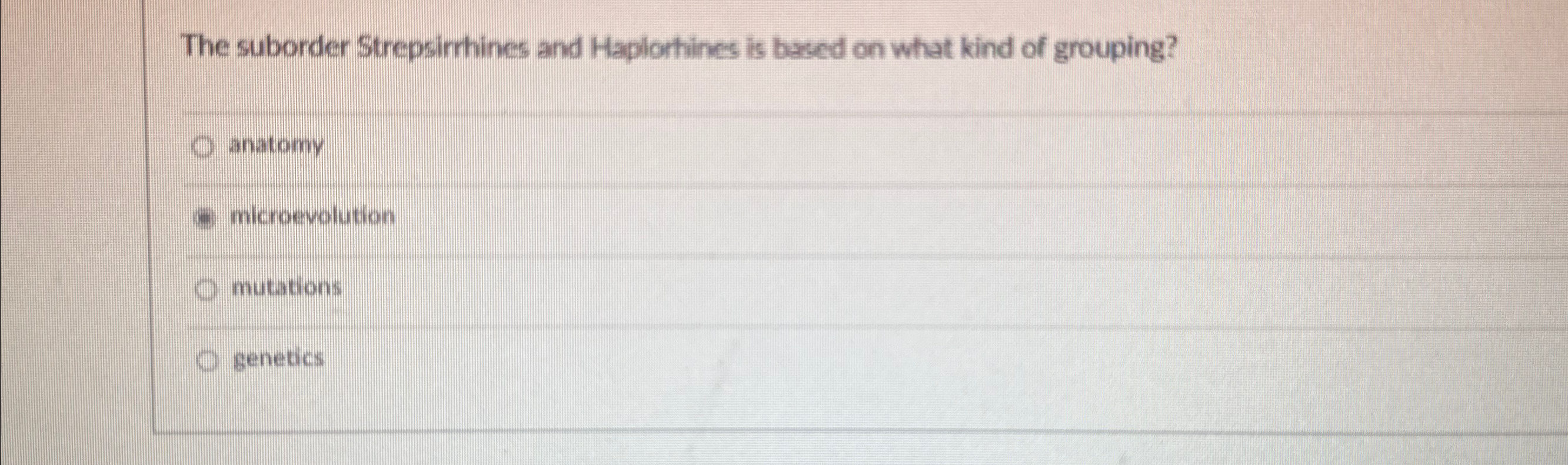 Solved The suborder Strepsirhines and Haplorhines is based | Chegg.com