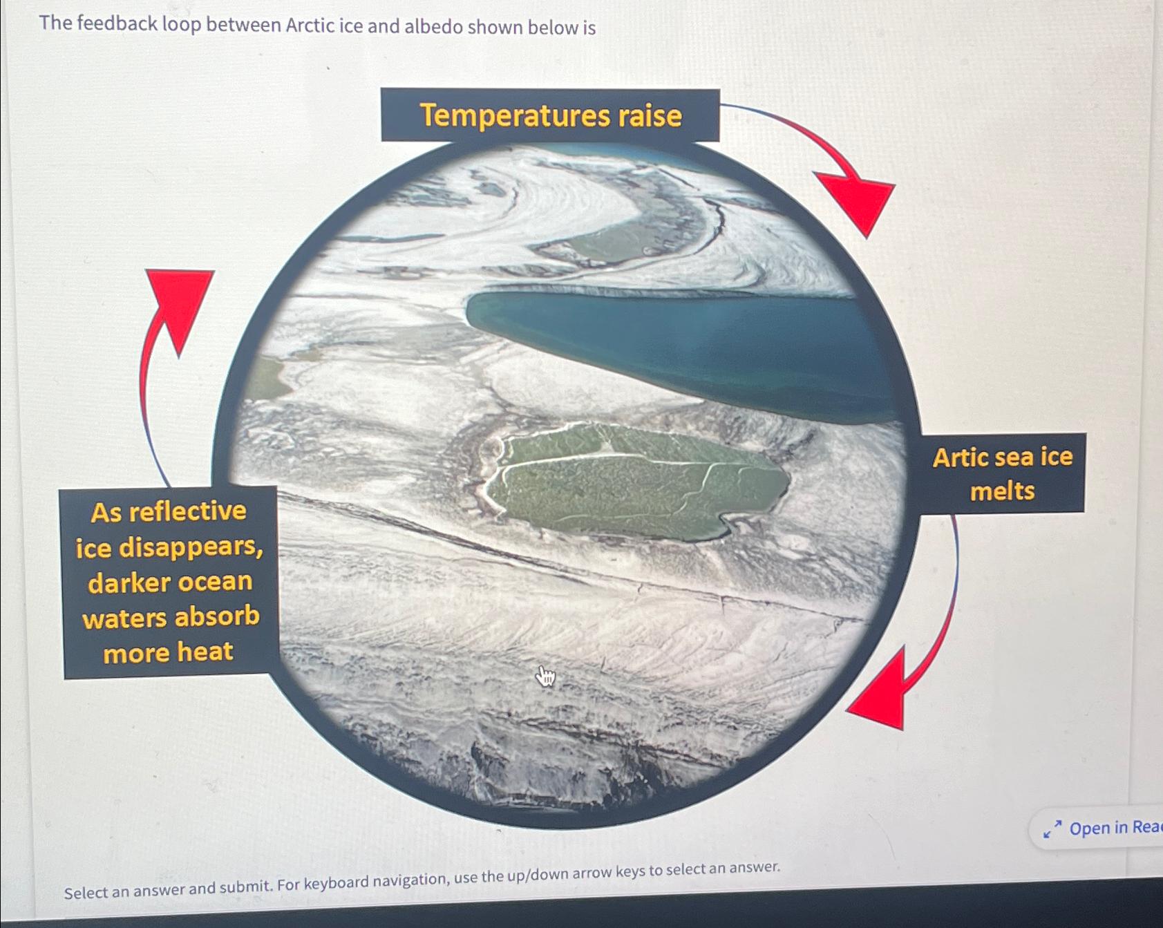 Solved The feedback loop between Arctic ice and albedo shown | Chegg.com