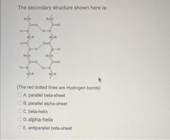 Solved The amino acid valine has the simplest R-group of all | Chegg.com