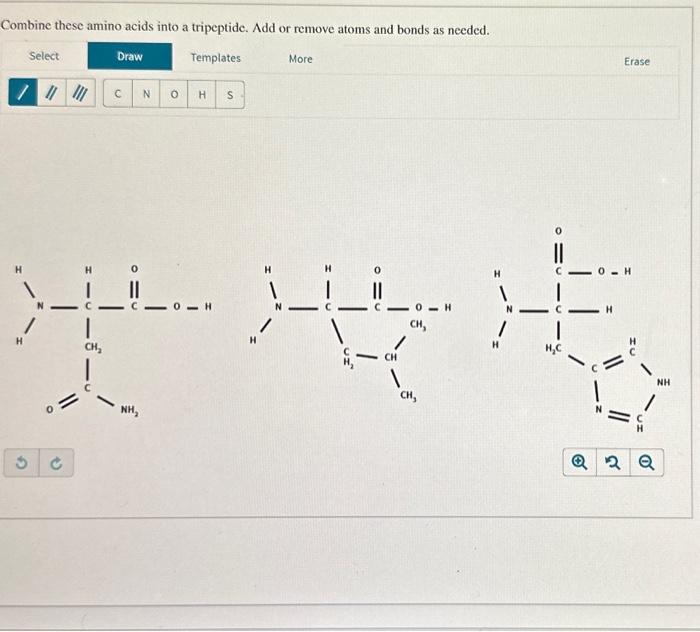 Solved Combine these amino acids into a tripeptide. Add or | Chegg.com