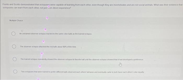 Fiorito and Scotto demonstroted that octopuses were | Chegg.com