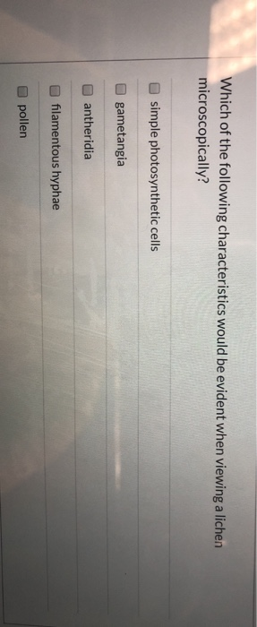 Solved Match the fungal phyla to the correct description and | Chegg.com