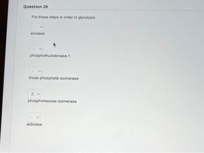 Solved Put these steps in order in glycolysis | Chegg.com