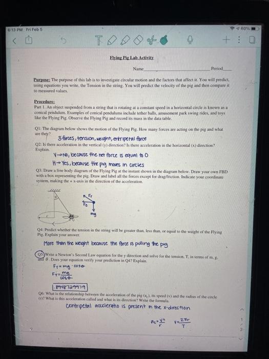 13 PM Fri Feb 5 60% 5 + Flying Pig Lab Activity Name | Chegg.com