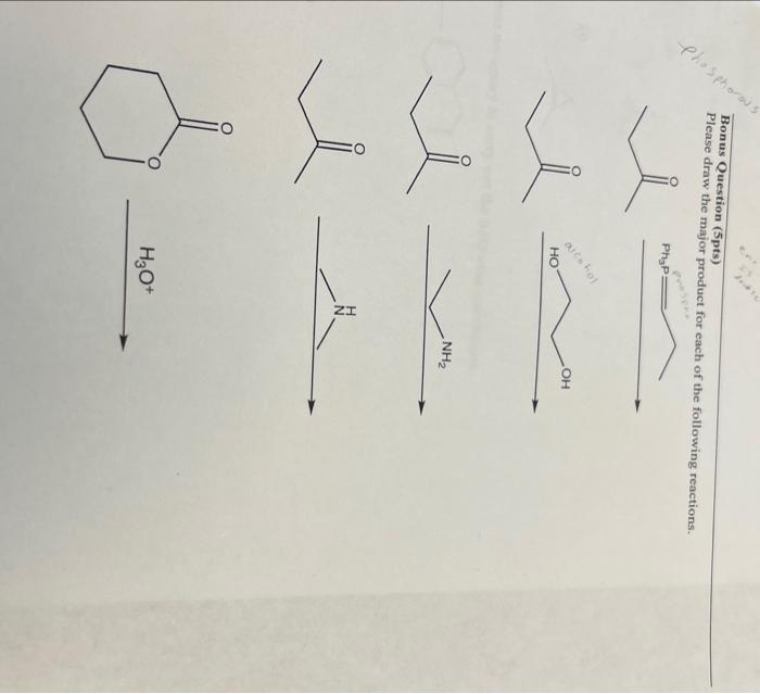 Solved Bonus Question (5pts) Please draw the major product | Chegg.com Solved Bonus Question (5pts) Please draw the major product | Chegg.com
