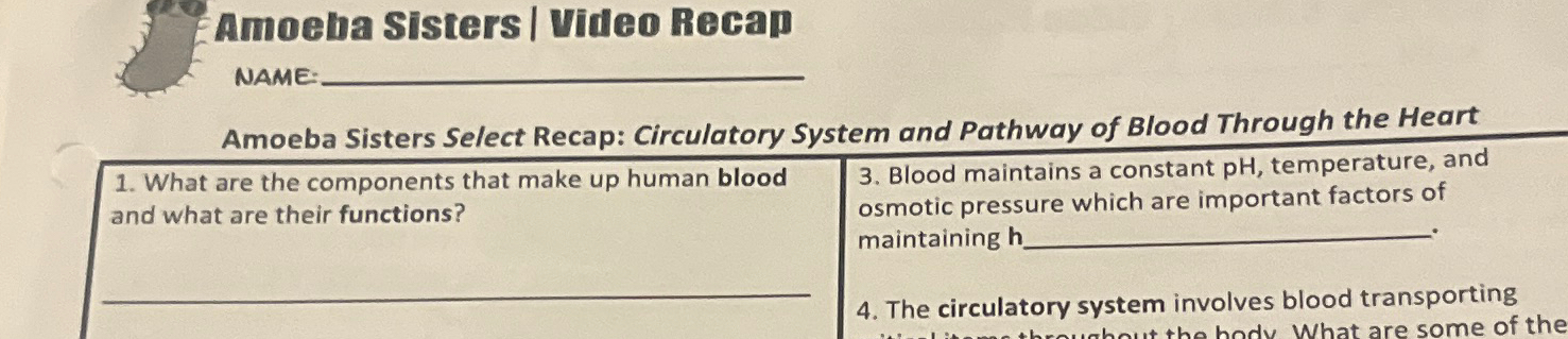 Solved Amoeha Sisters | ﻿Viteo RecapNAME: q,Amoeba Sisters | Chegg.com