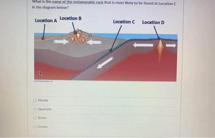Solved Exercise 5; Questions A-C Match each of the lettered | Chegg.com