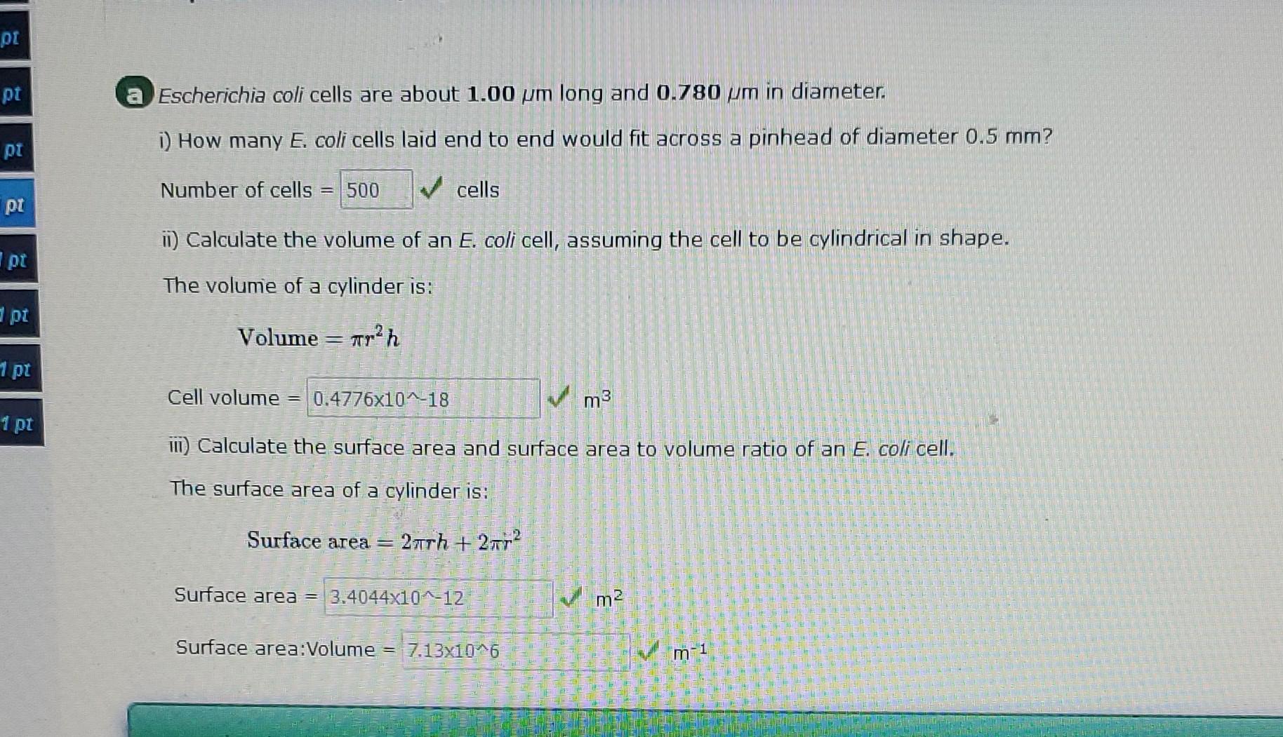 Solved Escherichia coli cells are about 1.00μm long and | Chegg.com