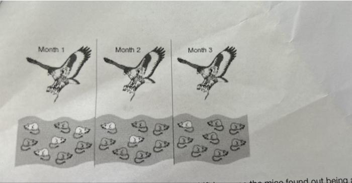 Solved 9. Identify and explain the evolutionary process that | Chegg.com