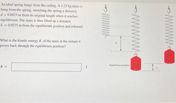 Solved An ideal spring hangs from the ceiling. A 1.25 kg | Chegg.com
