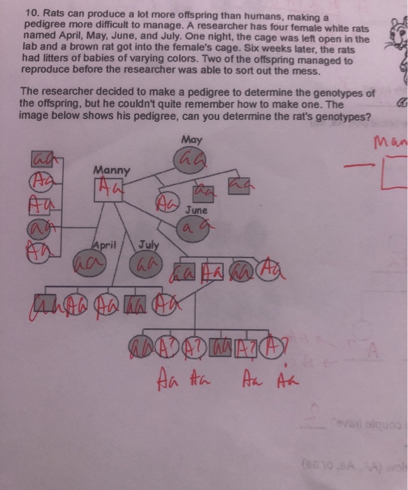 Solved have the key but need help figuring out how they | Chegg.com