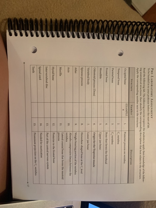 Solved PRE-LABORATORY ASSIGNMENT To be handed in to your | Chegg.com