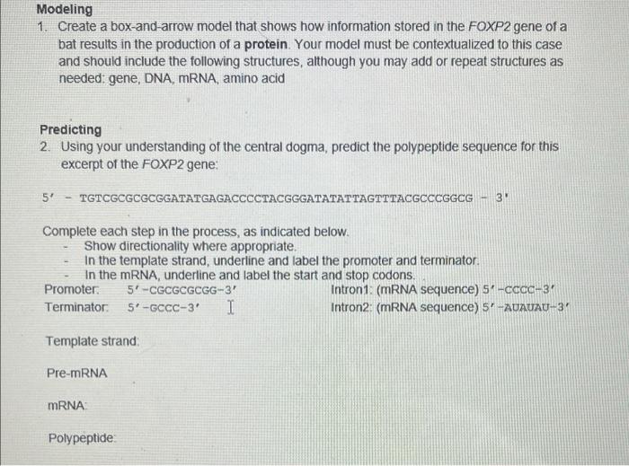 Solved Modeling 1. Create a box-and-arrow model that shows | Chegg.com