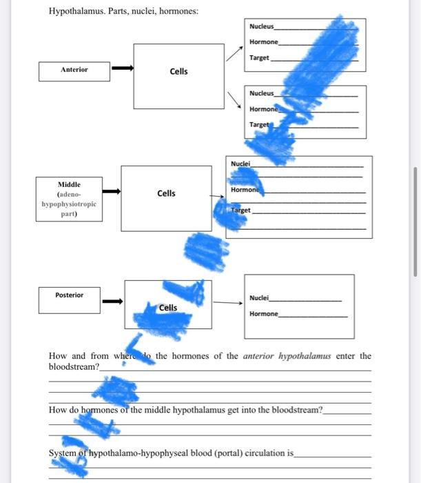 Solved histology please answer all parts of the question and | Chegg.com
