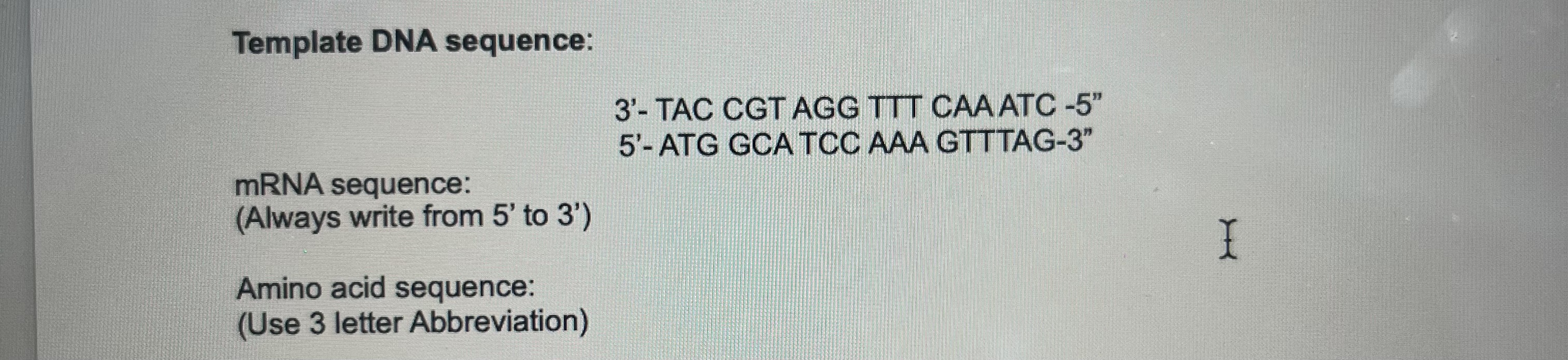 Template DNA sequence:3'- ﻿TAC CGTAGG TTT CAAATC | Chegg.com