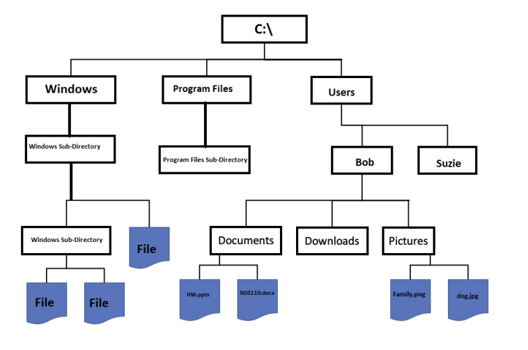 Solved Give the absolute path of where the file dog.jpg is | Chegg.com